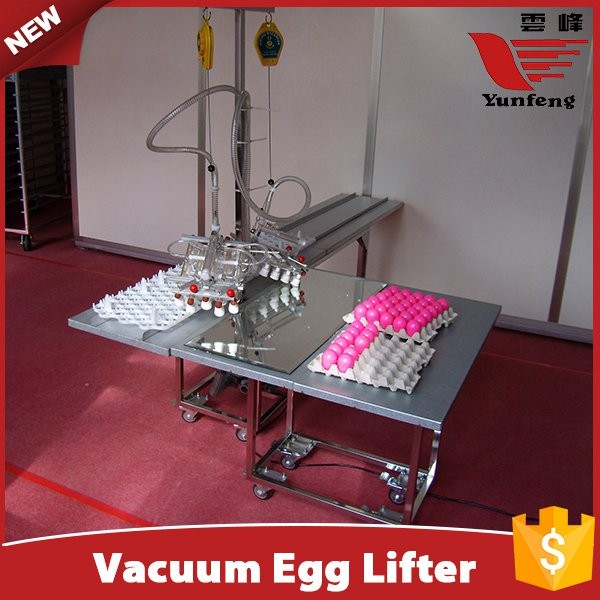 Vacuum Egg Lifter